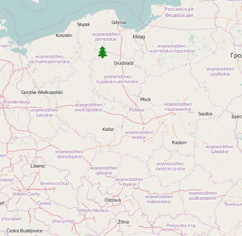 Tuchola - stolica Borów - Poznaj Bory Tucholskie